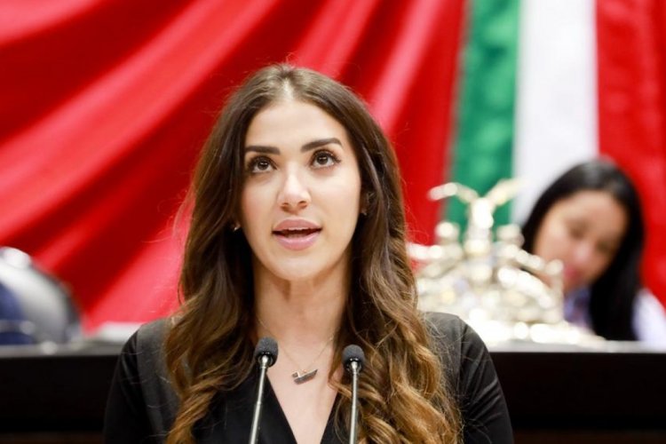 Diputada Paloma Sánchez asegura que México vive la peor crisis de ...