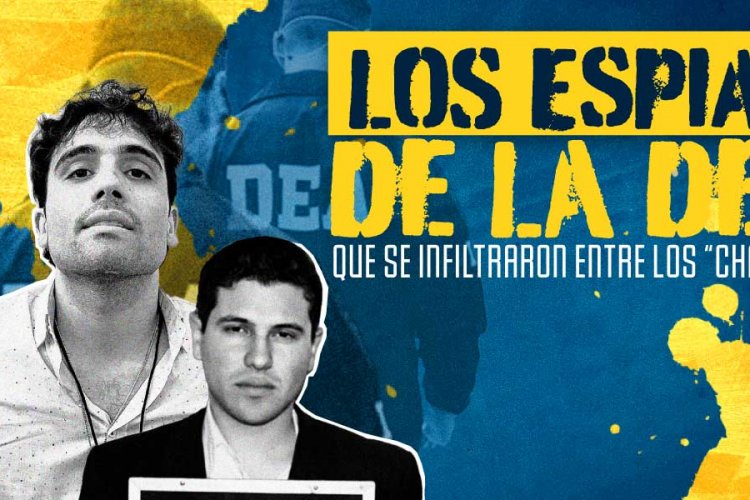 Infografía: Los espías de la DEA que se infiltraron entre los "Chapitos ...